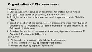 7_DNA organization in prokaryotes and eukaryotes.pptx
