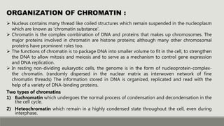 7_DNA organization in prokaryotes and eukaryotes.pptx