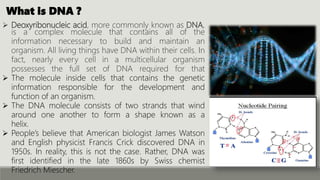 7_DNA organization in prokaryotes and eukaryotes.pptx