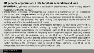 7_DNA organization in prokaryotes and eukaryotes.pptx
