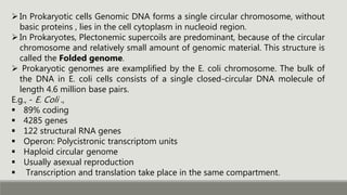 7_DNA organization in prokaryotes and eukaryotes.pptx