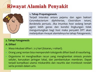 BAB 7 Epidemiologi Penyakit Menular Diftheria, Pertusis dan Tetanus | PPTX