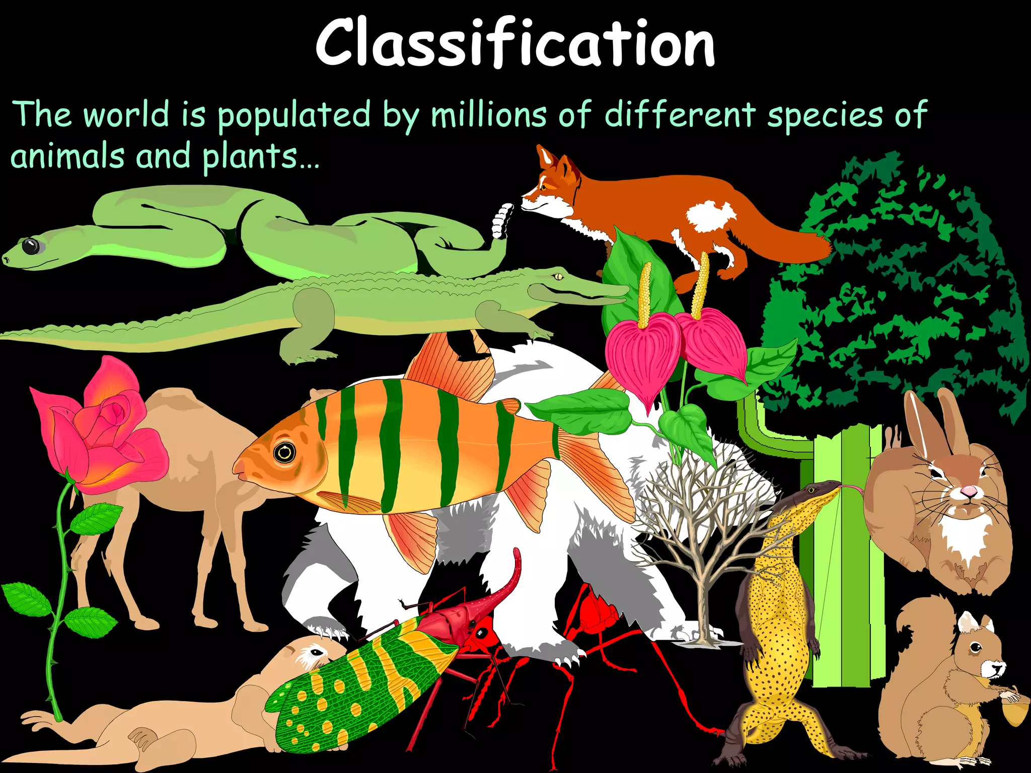 7 d variation and classification | PPT
