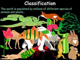 7 d variation and classification | PPT