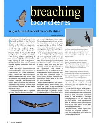 Breaching borders_Augur Buzzard | PDF | Africa Travel | Travel Locations
