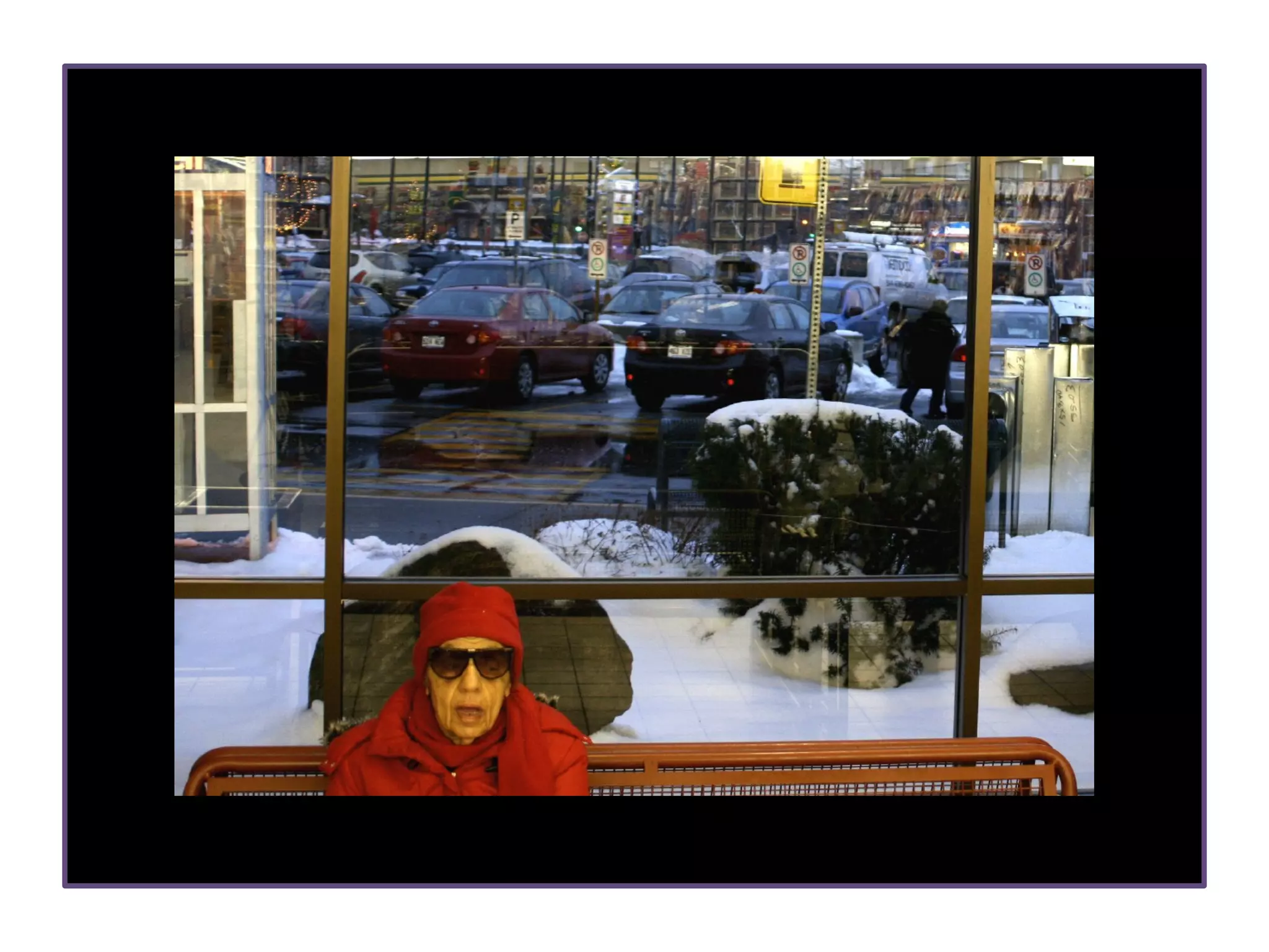 Indifference as Visual Self Ideology- Danut Zbarcea | PDF