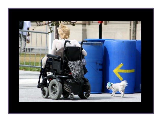 Indifference as Visual Self Ideology- Danut Zbarcea | PDF