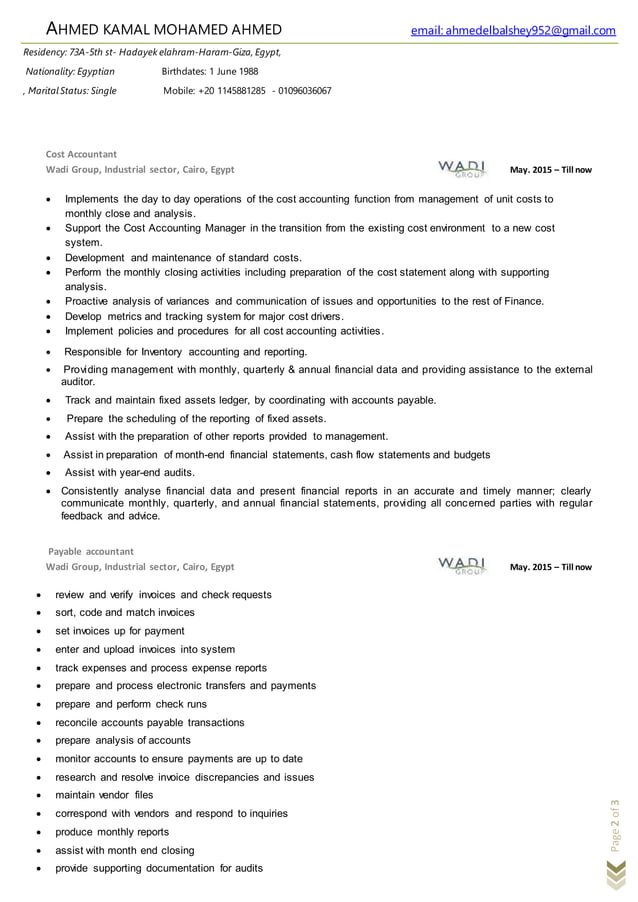 Ahmed kamal C.V | DOCX | Business Accounting & Finance | Business