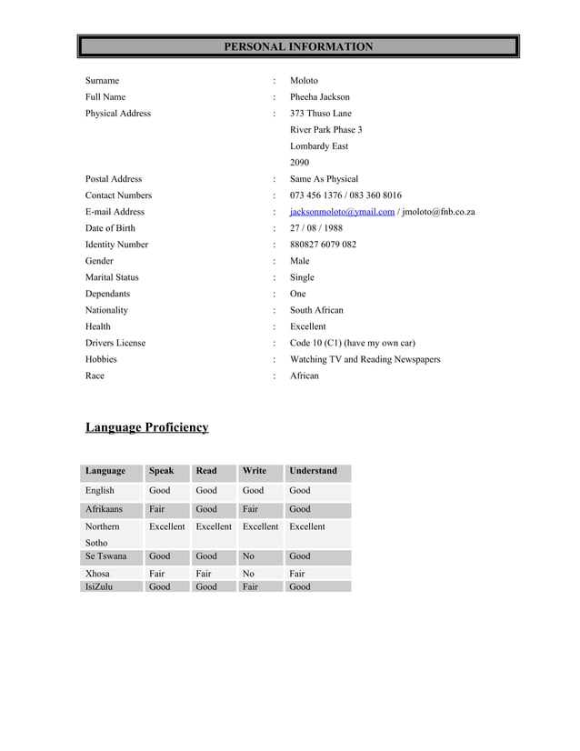 PJ Moloto CV | PDF