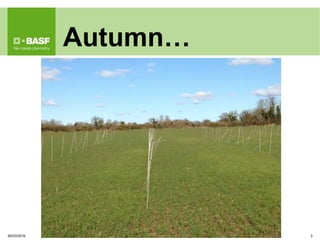 BASF presentation | PPTX