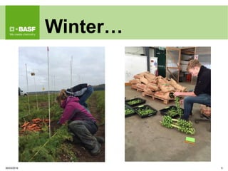 BASF presentation | PPTX