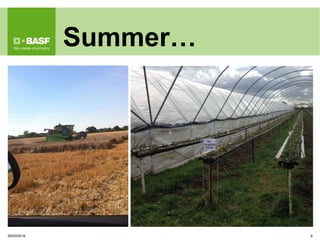 BASF presentation | PPTX