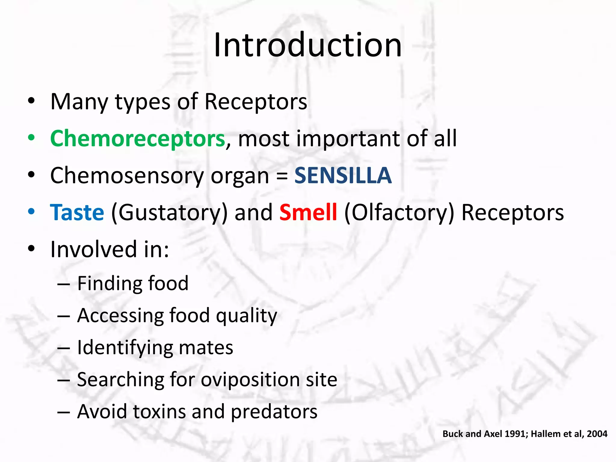 Genomics of Insect Chemoreception | PPT