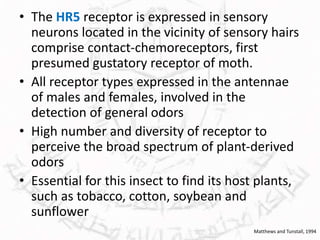 Genomics of Insect Chemoreception | PPT