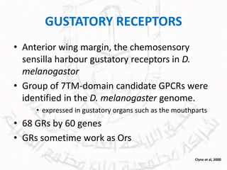 Genomics of Insect Chemoreception | PPT