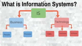 Information Systems | PDF