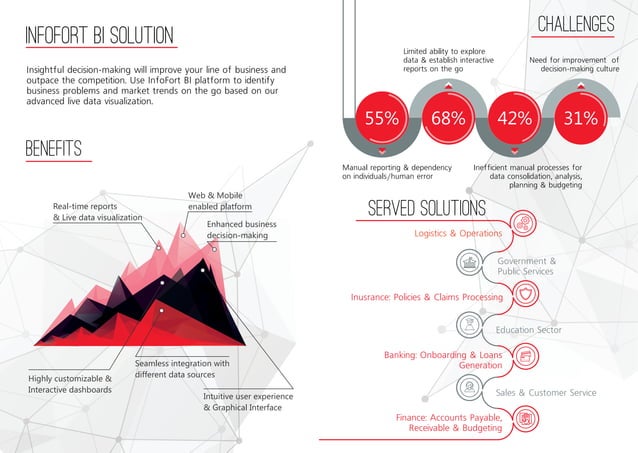 InfoFort-BI-Visualization-Brochure | PDF