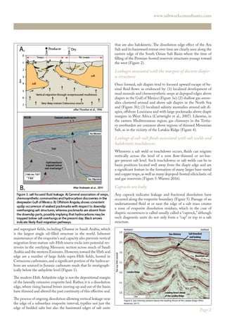 Salt Leakage 4 | PDF
