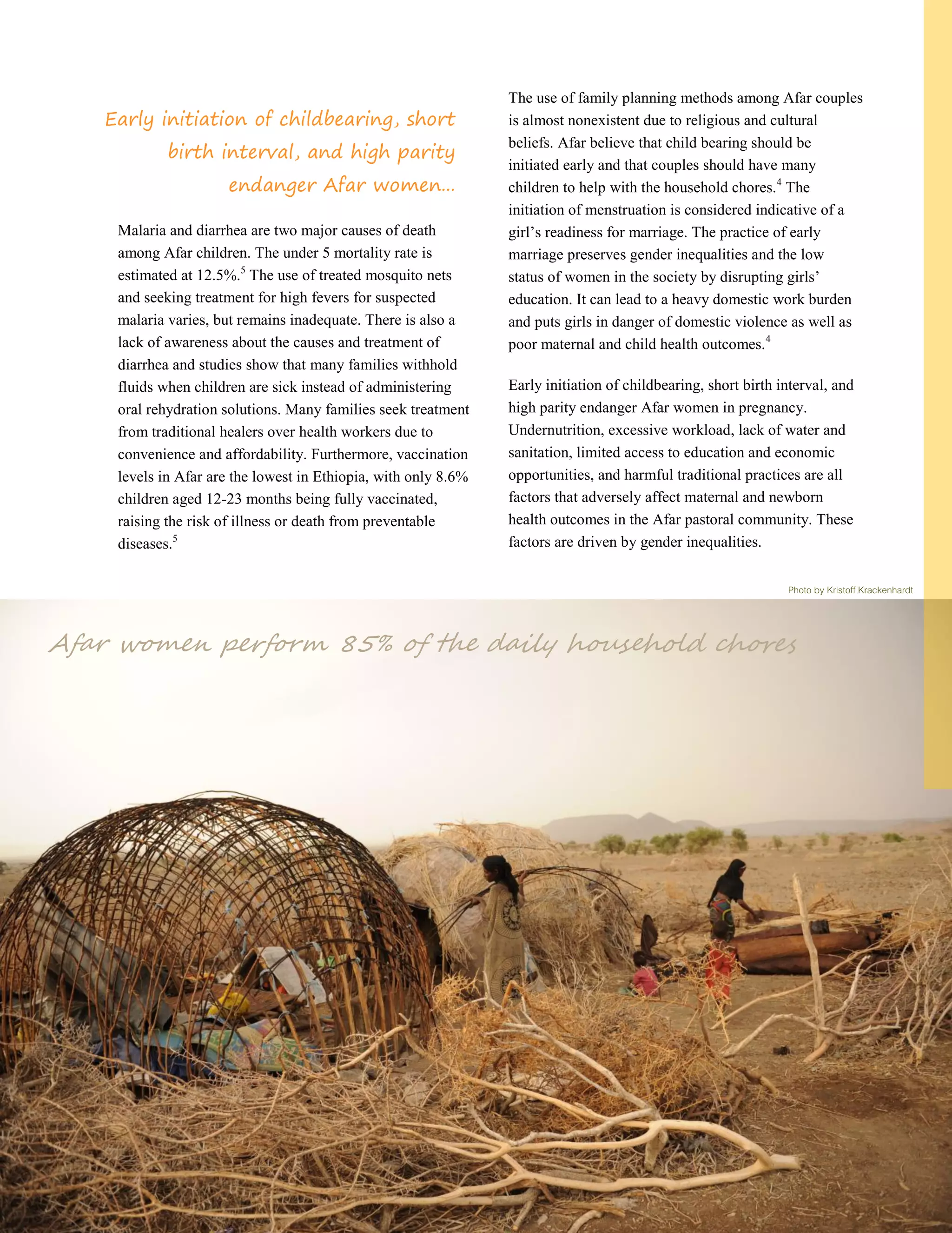 APDAs Innovation Maternal Health FINAL DRAFT online distribution | PDF