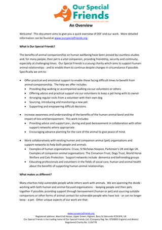 OSF Summary v1.1 External | PDF