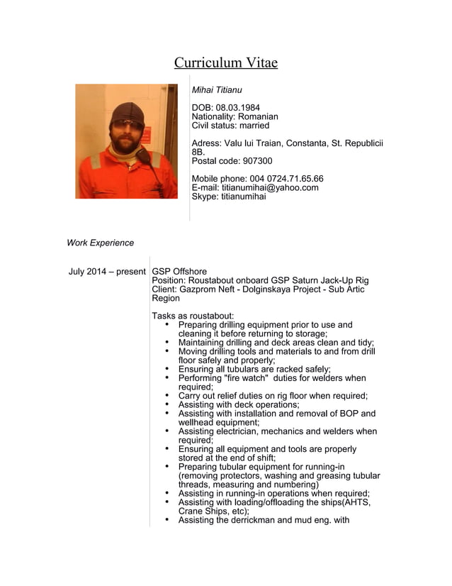 curriculum_engl_detailed Titianu | PDF