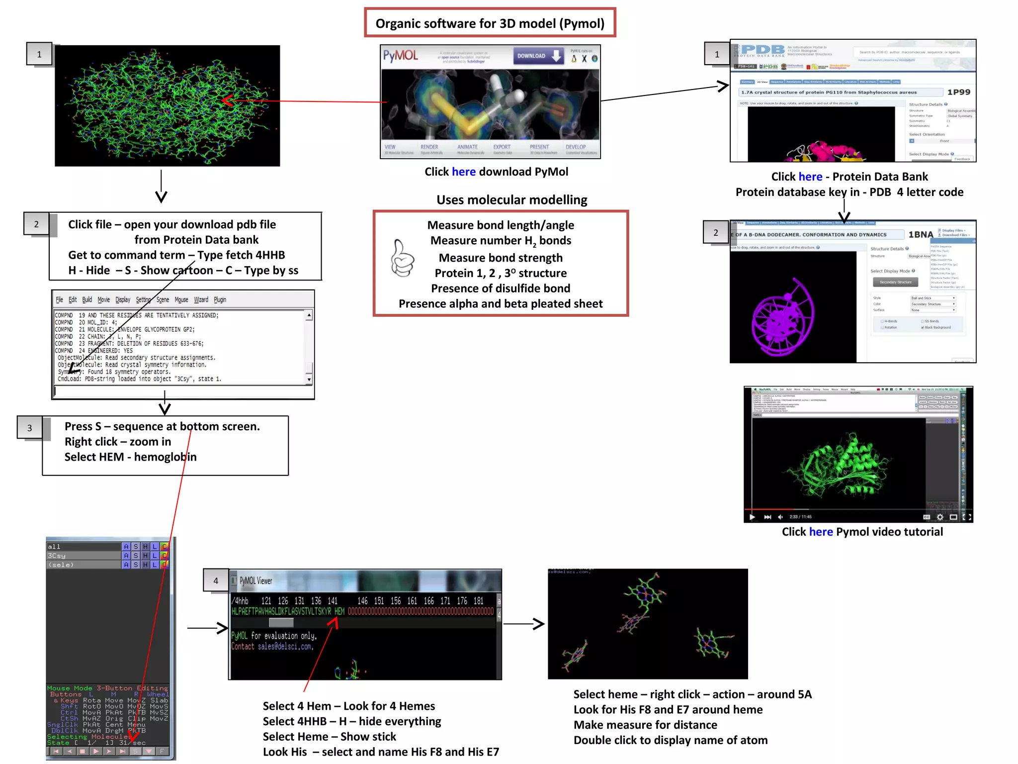 IB Chemistry on ICT, 3D software, Chimera, Jmol, Swiss PDB, Pymol for ...