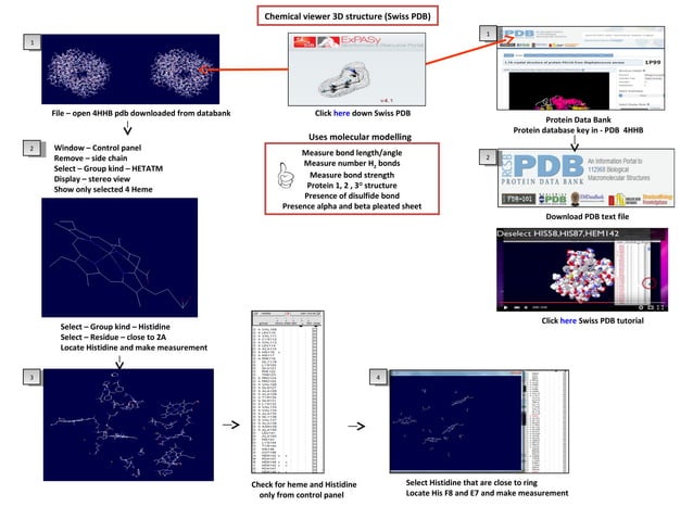 IB Chemistry on ICT, 3D software, Chimera, Jmol, Swiss PDB, Pymol for Internal Assessment on ...