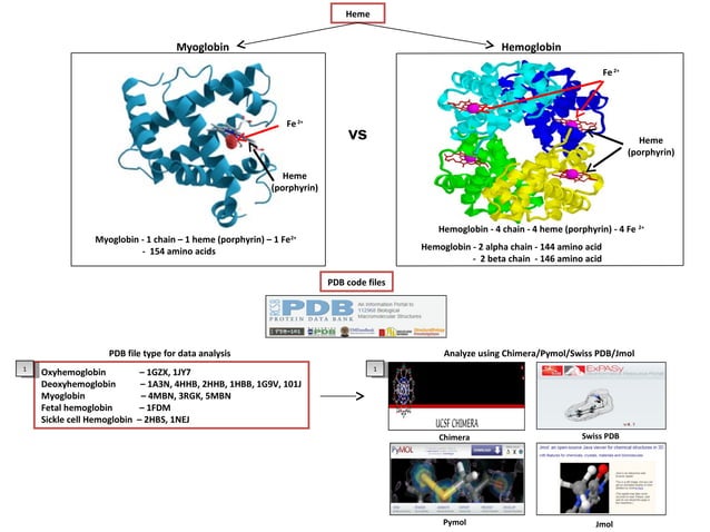 IB Chemistry on ICT, 3D software, Chimera, Jmol, Swiss PDB, Pymol for ...