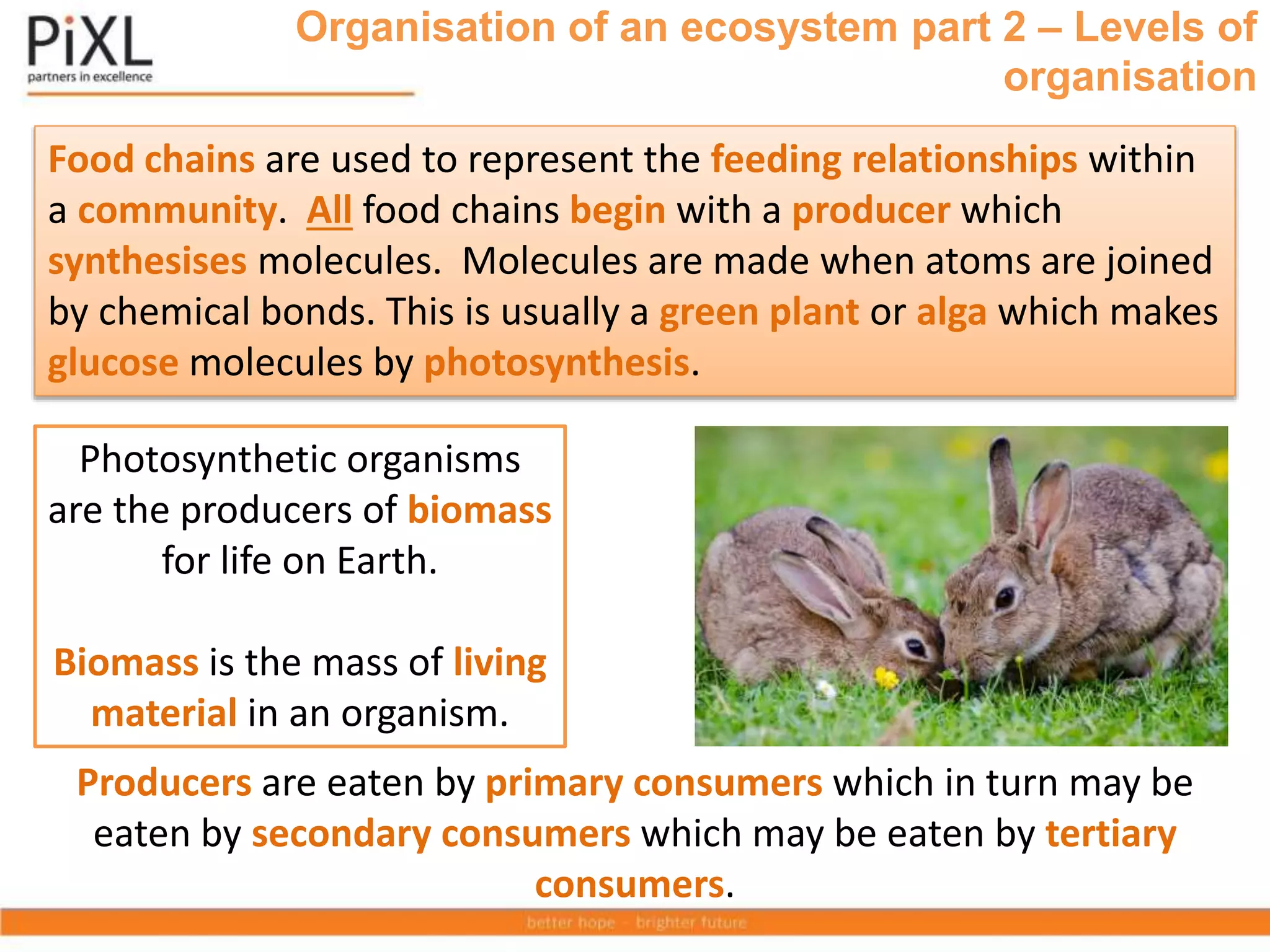 7 ecology knowit.pptx