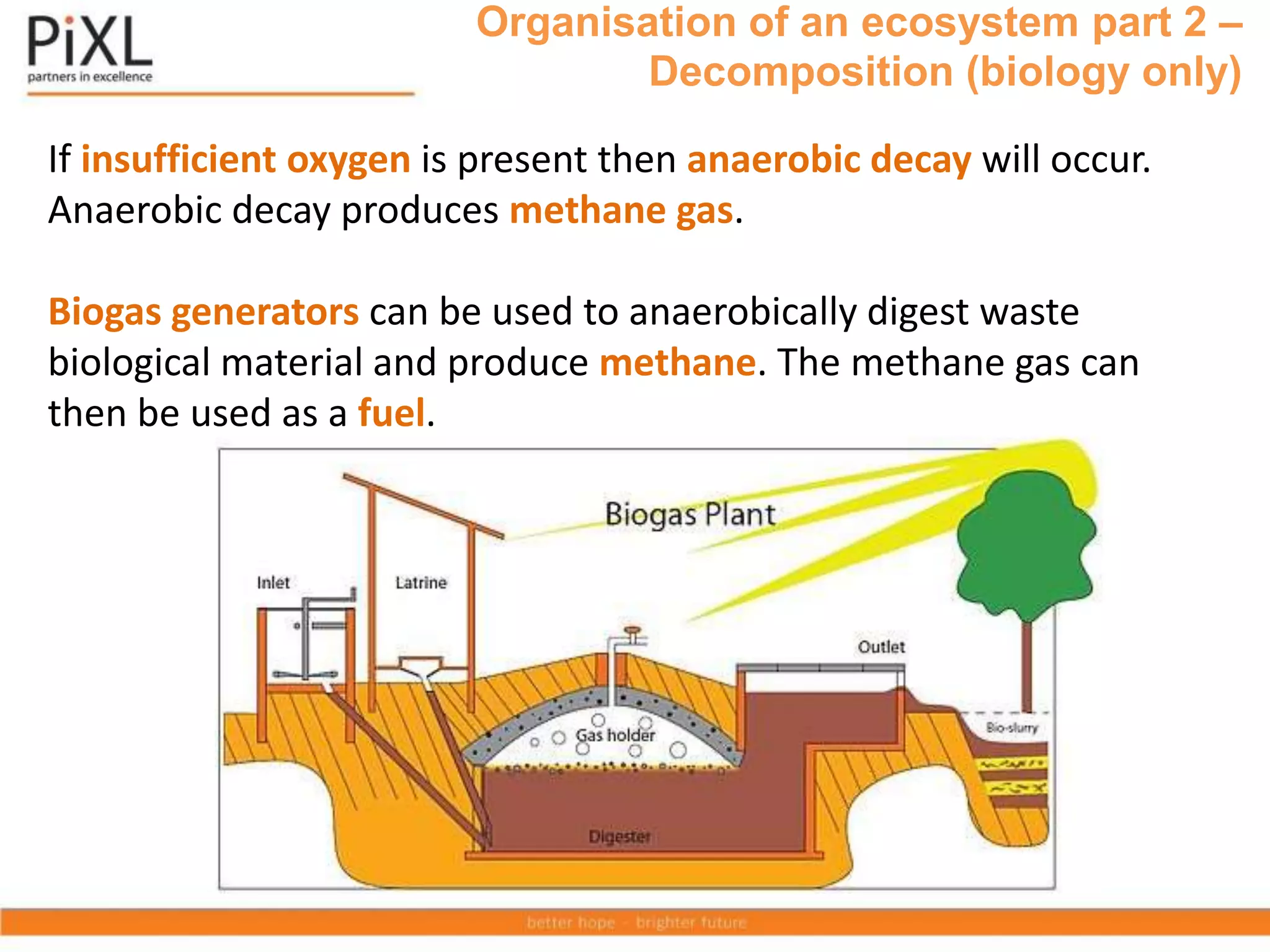 7 ecology knowit.pptx
