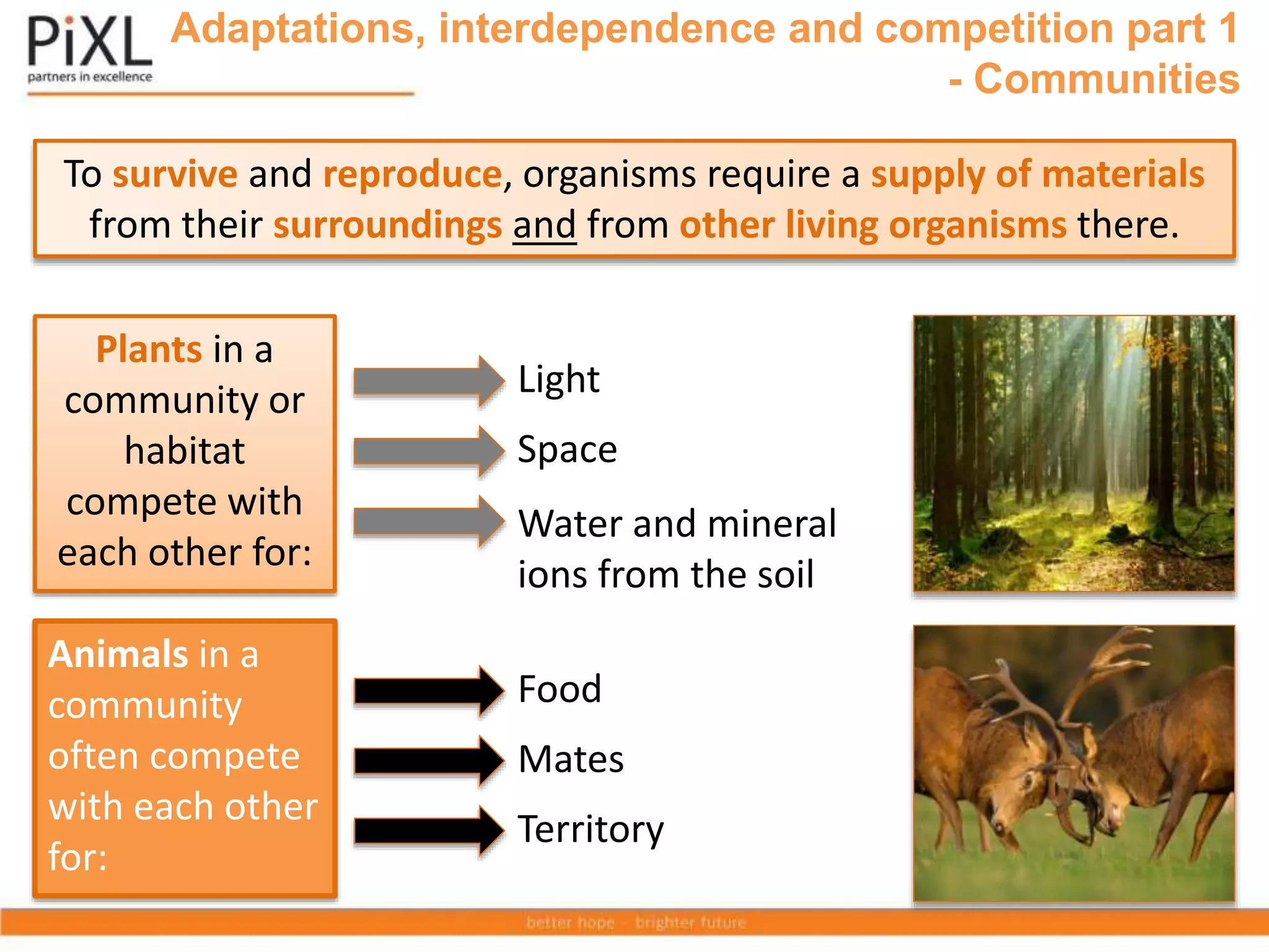 7 ecology knowit.pptx