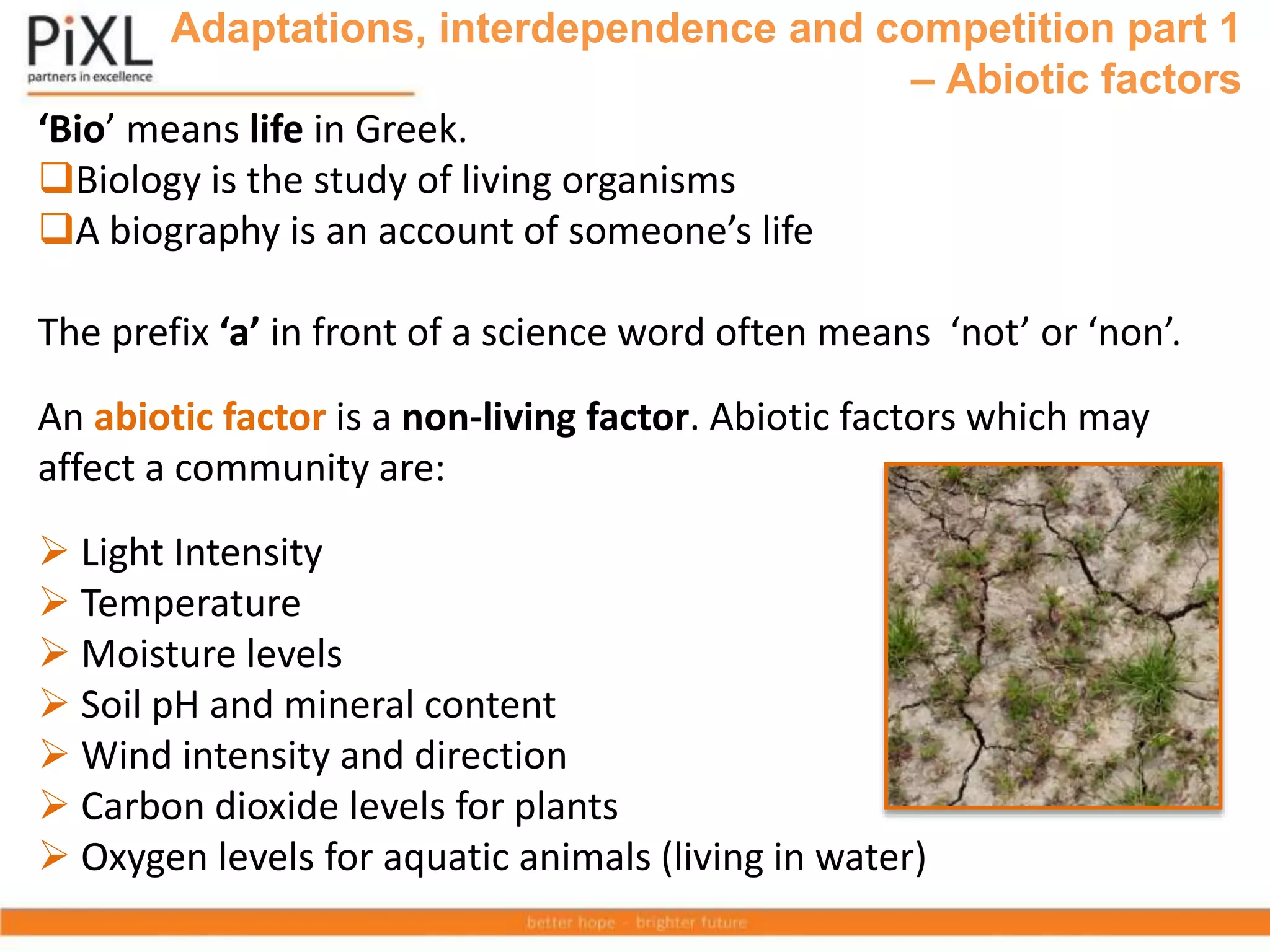 7 ecology knowit.pptx