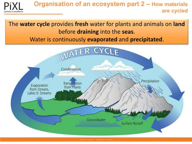 7 ecology knowit.pptx | Biological Sciences | Science