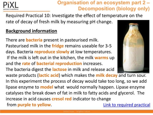 7 ecology knowit.pptx | Biological Sciences | Science