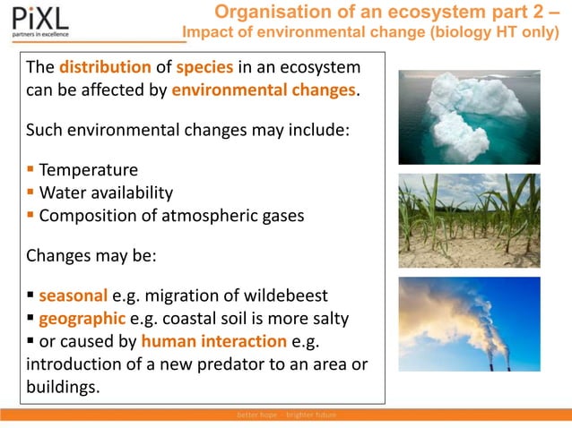 7 ecology knowit.pptx | Biological Sciences | Science