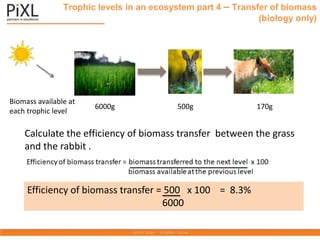 7 ecology knowit.pptx