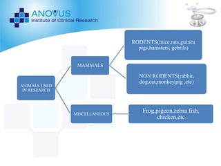PRE-CLINICAL LAB ANIMALS ppt | PDF