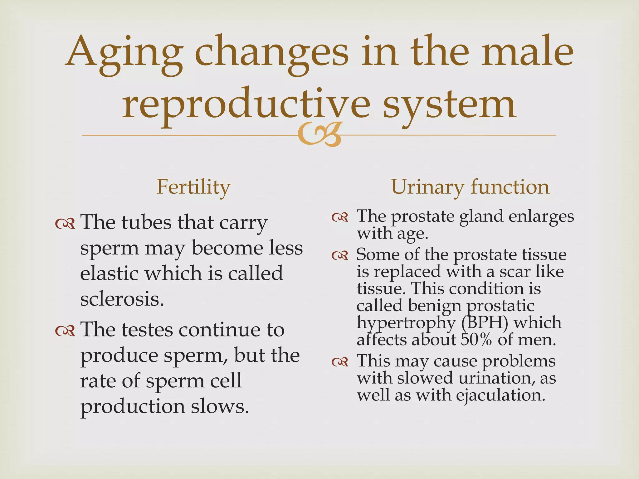 Men's Health Presentation | PPTX