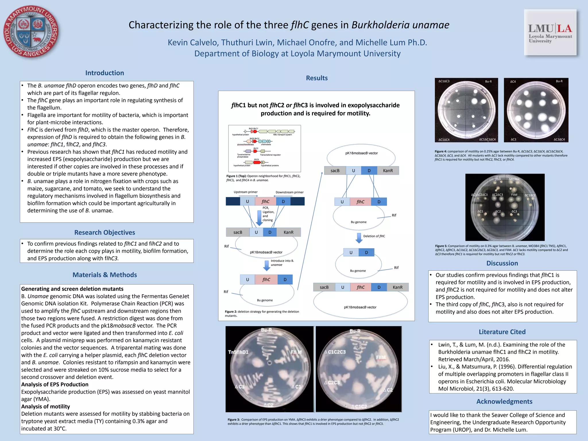 UROP Poster | PPT