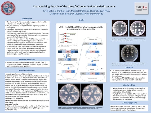 UROP Poster | PPT
