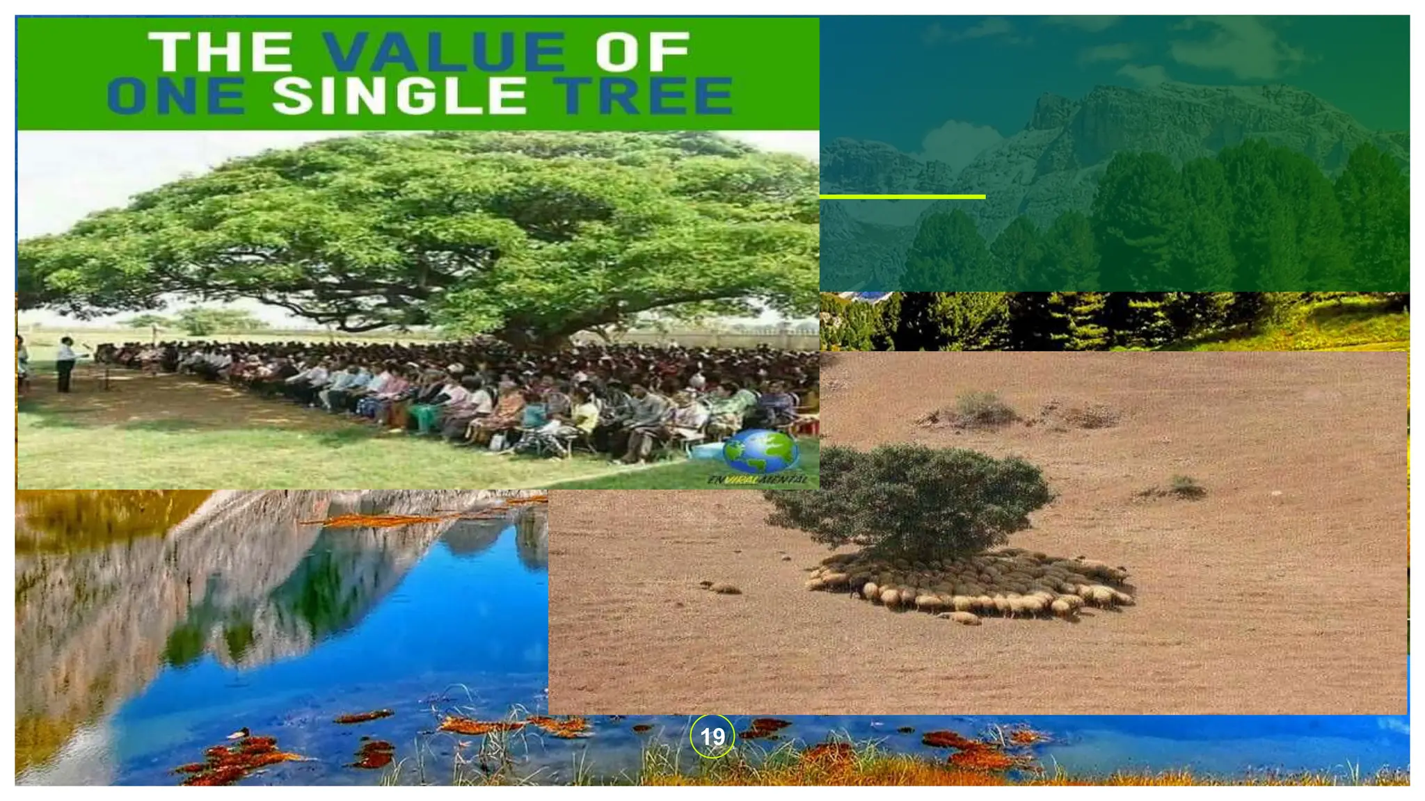 7 Environmental Principles.pptx