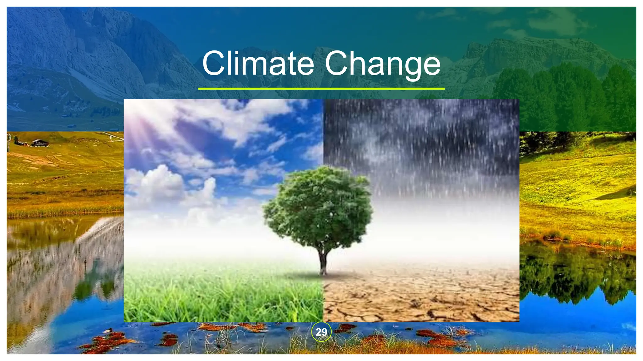 7 Environmental Principles.pptx