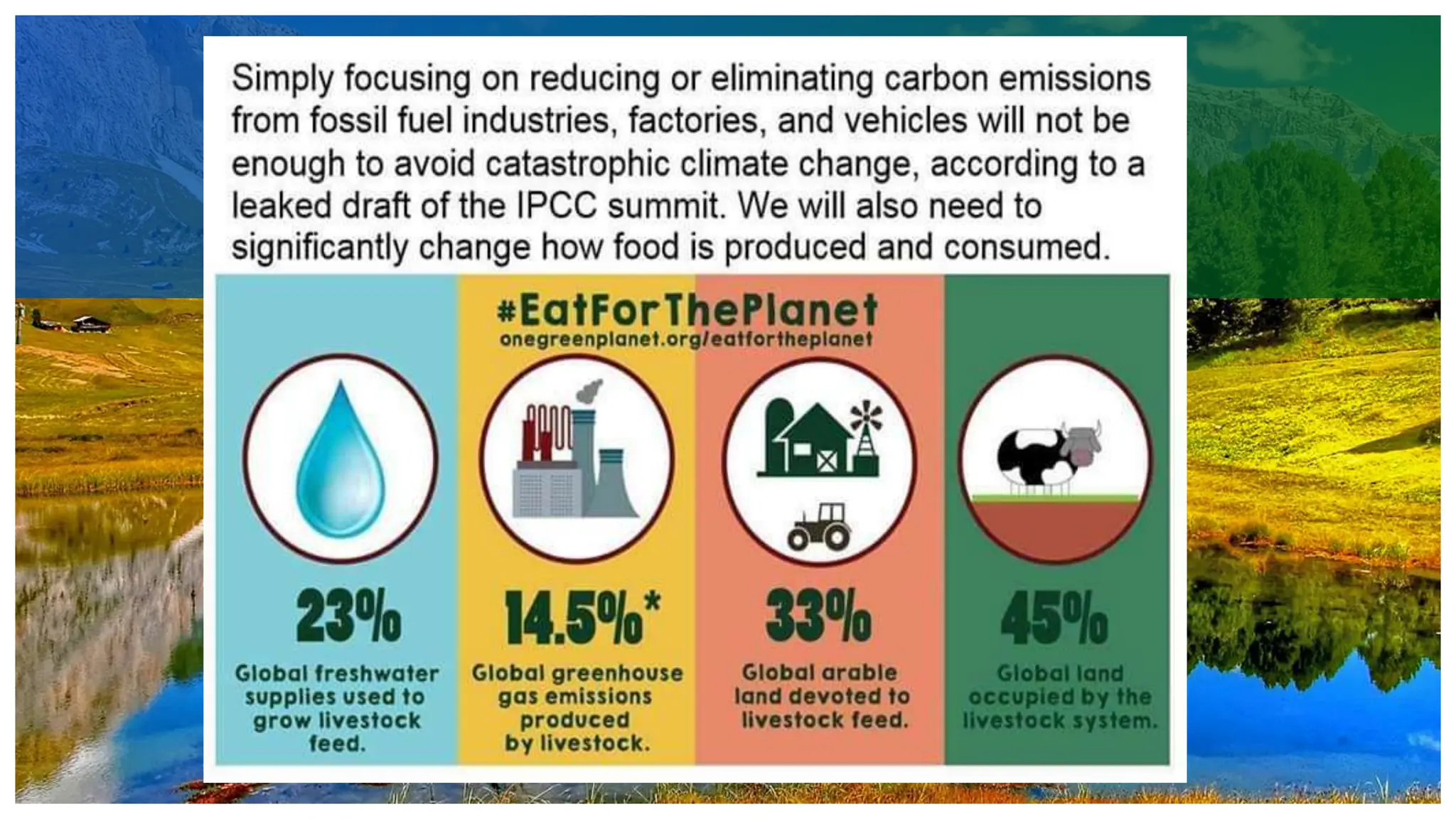 7 Environmental Principles.pptx