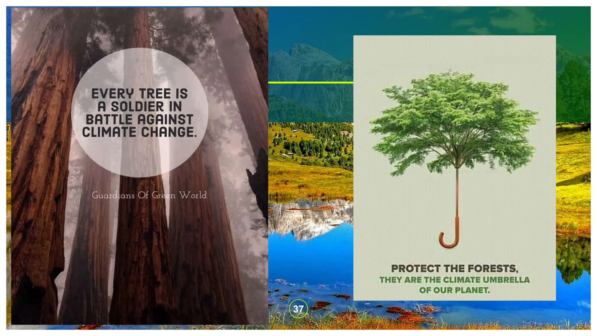 7 Environmental Principles.pptx