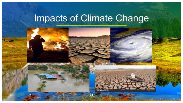 7 Environmental Principles.pptx