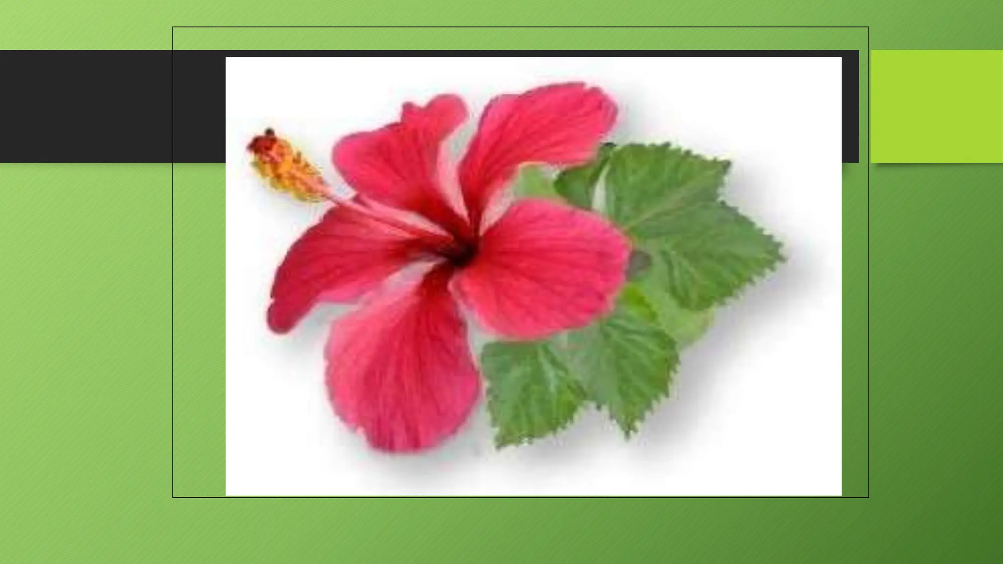 7 E’S LESSON PLAN IN SCIENCE.pptx