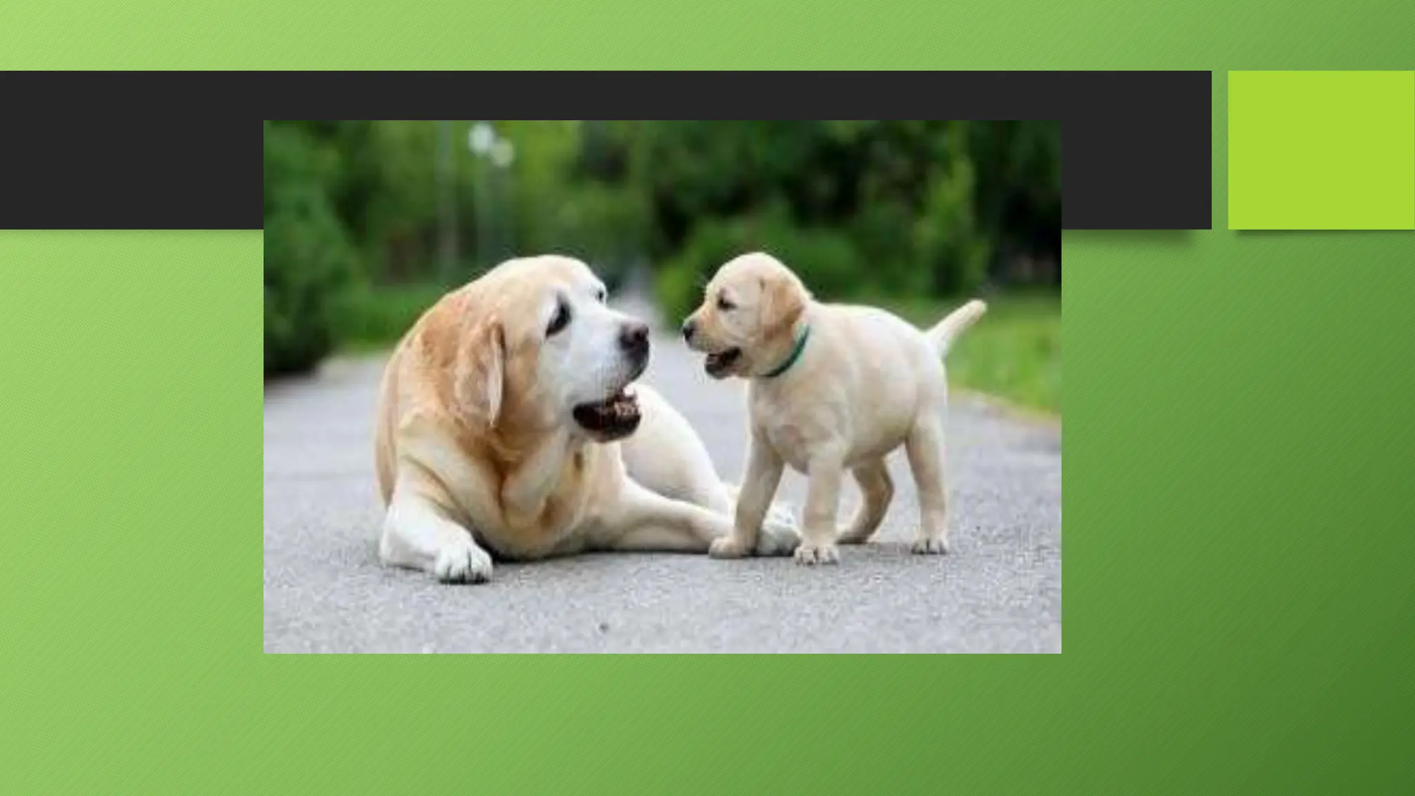 7 E’S LESSON PLAN IN SCIENCE.pptx