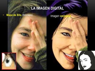 Estructura de la imagen digital | PPSX