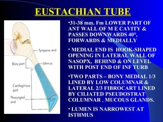 7 etd | PPT