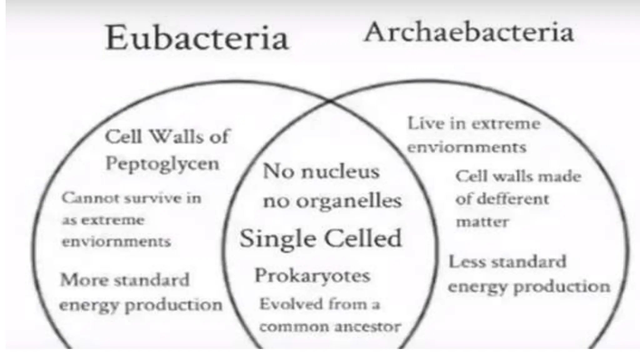 Evolutionary tendencies of bacteria.pptx